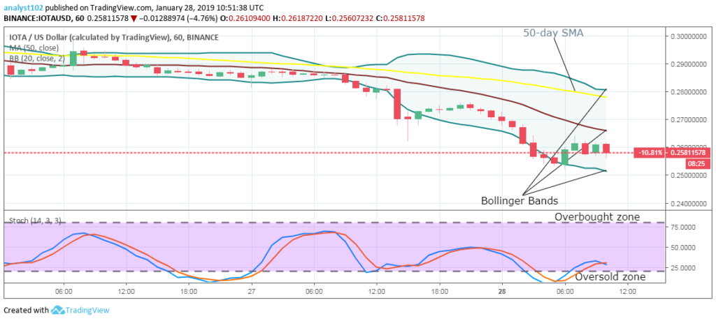 IOTA (MIOTA) Daily Price Forecast – January 28 | Bitcoin Insider